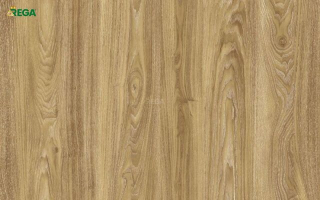 100+ Mẫu Map Sàn Gỗ Công Nghiệp Chất Lượng Cao, Thiết Kế Sang Trọng